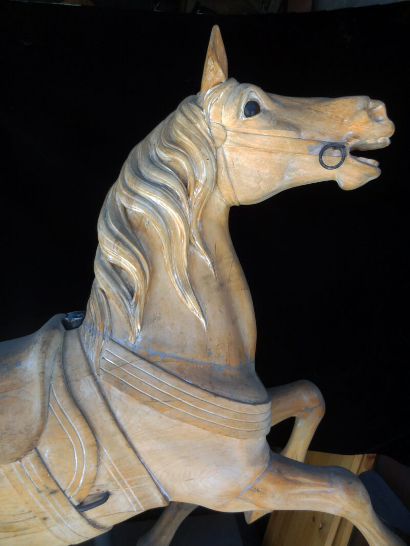 1902 Gustav Dentzel Prancer – SOLD | AntiqueCarousels.com